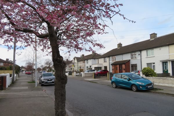 choice-based letting - Dublin InQuirer